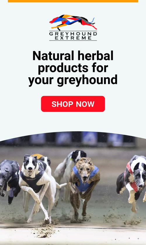 Contact – Greyhound Extreme